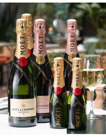 Mini moet champagne bottles store